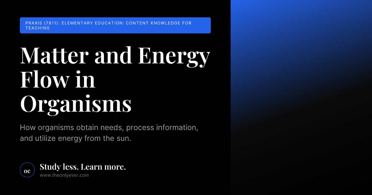 Matter and Energy Flow in Organisms - Praxis (7811): Elementary ...